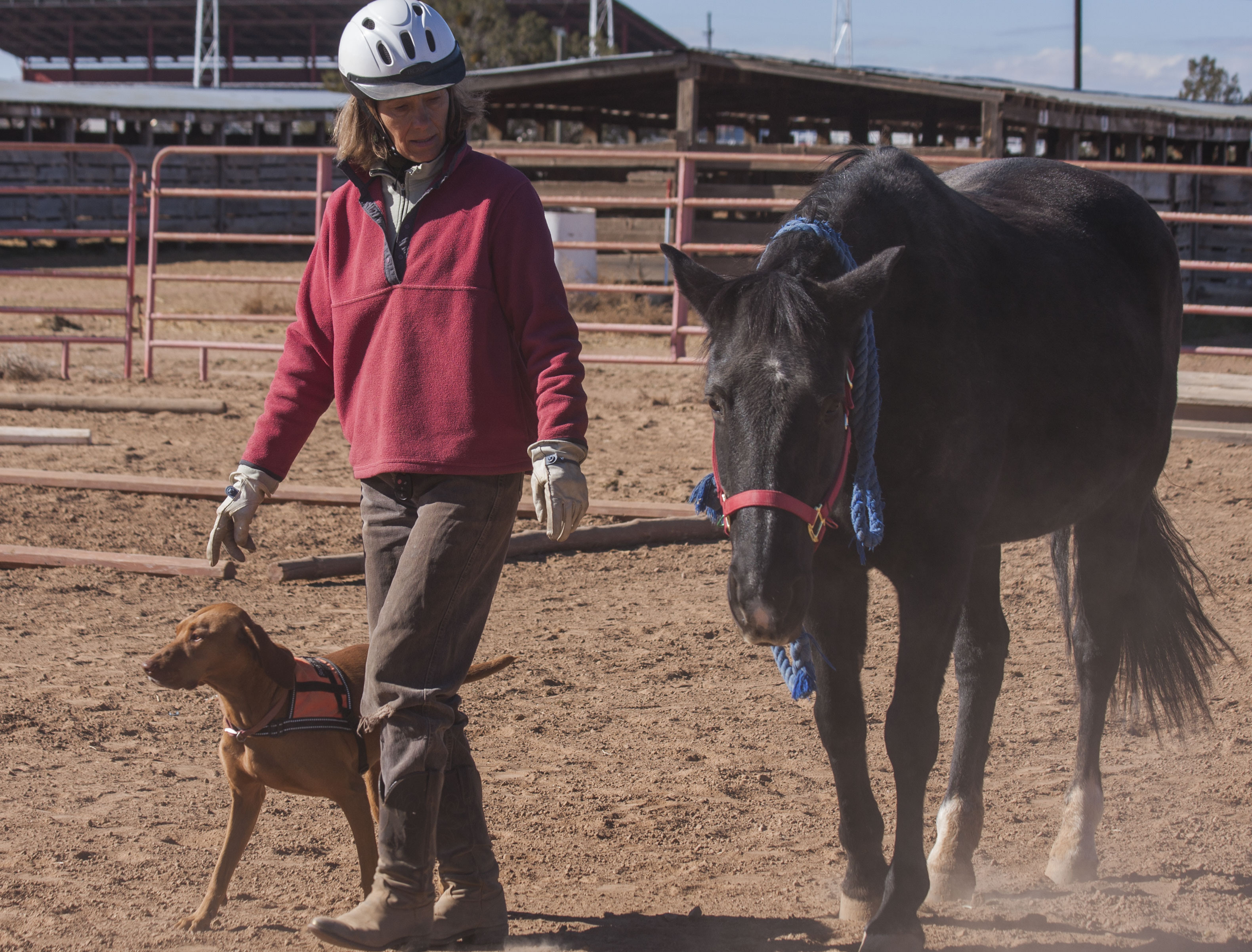 Listening Horse Therapeutic Riding | We are an affiliate of the ...